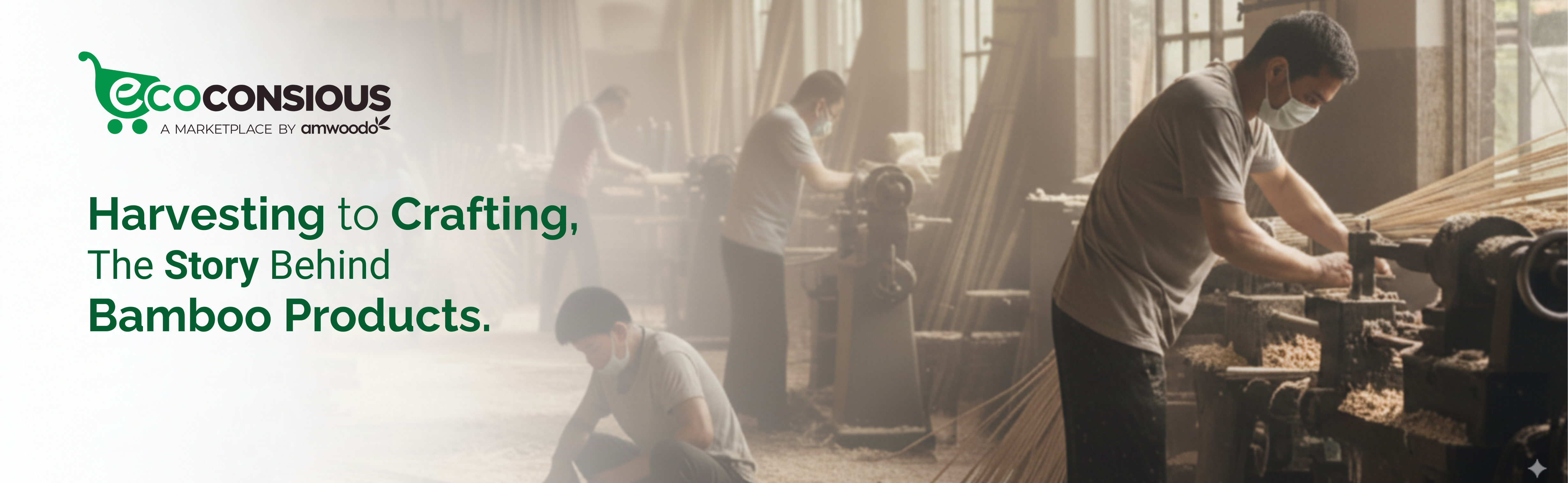 From Plant to Product: How Bamboo Goods Are Made – Imeco India